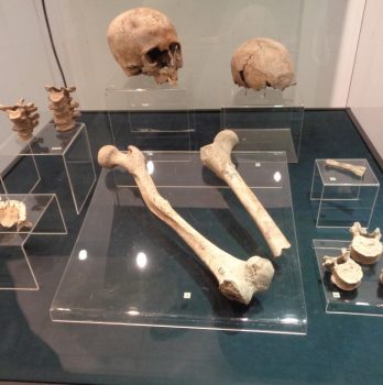 Exhibition: Mass grave burial from Scupi – the dark side of archaeology ...